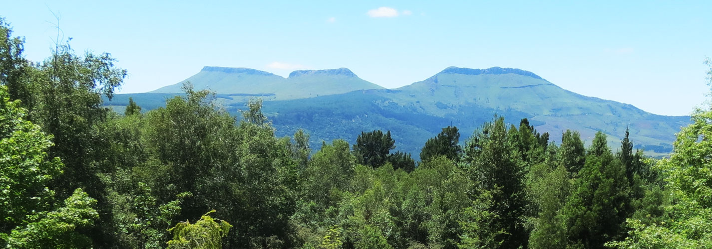 Home - Touraco Hogsback